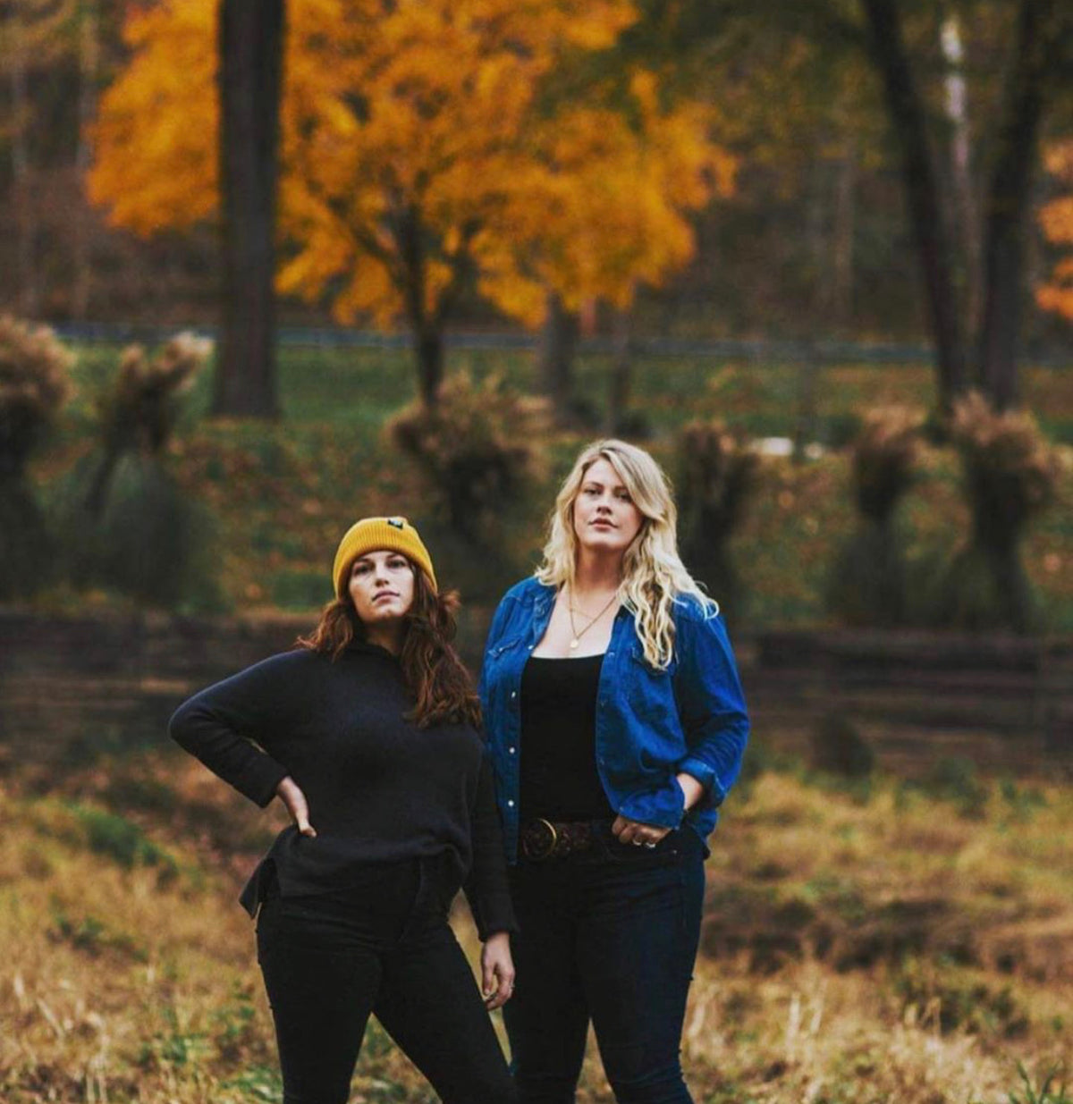 La Honda Diversifies Roster– La Honda Records